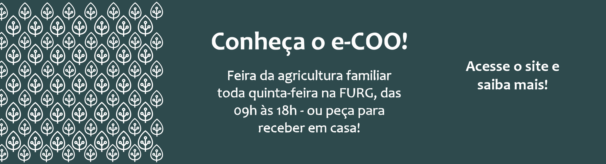 Home - Universidade Federal do Rio Grande - FURG